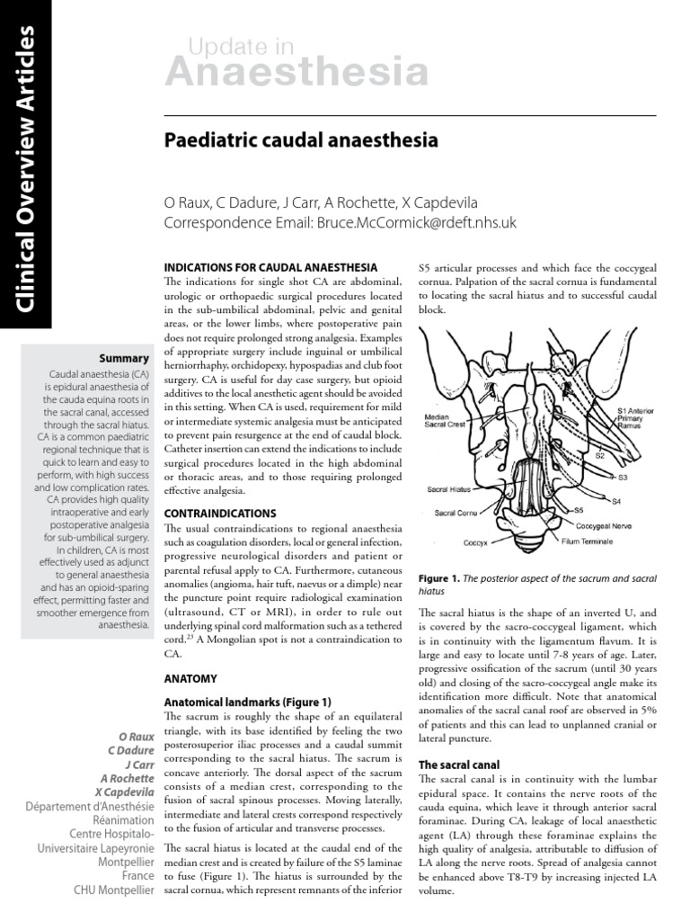 Paediatric Caudal Anaesthesia | Anesthesia | Pain