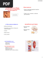 Síndrome do Primeiro Neurônio Motor | PDF | Sistema nervoso | Doenças e ...