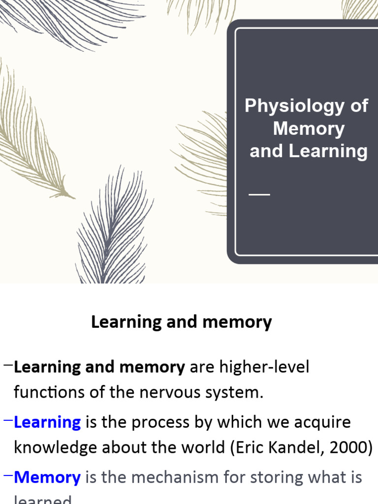 Physiology of Learning and Memory | PDF | Long Term Potentiation | Memory