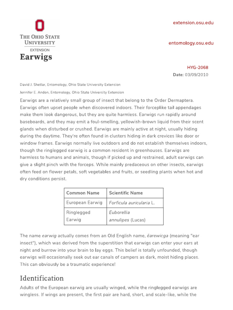 Earwigs Whitepaper (OSU) | PDF