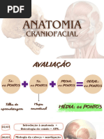 Suturas Do Crânio Resumo | PDF | Anatomia | Anatomia humana