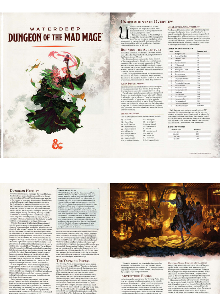 Mad Mage | PDF | Elf (Dungeons & Dragons) | Dwarf (Dungeons & Dragons)
