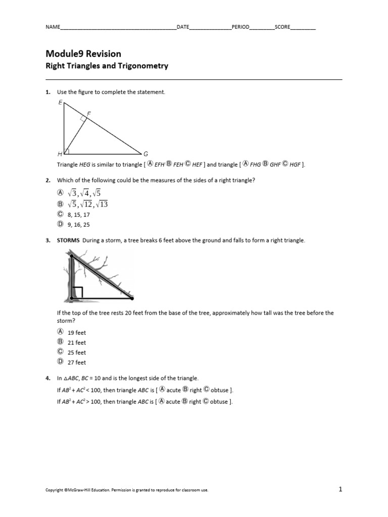 Module9 Revision | PDF | Triangle | Euclid