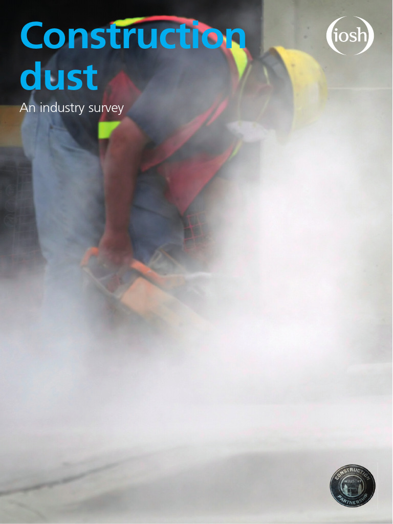 MEM1871 Dust Survey | PDF | Risk | Employment