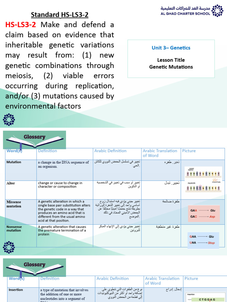 Genetic Mutations | PDF | Mutation | Point Mutation