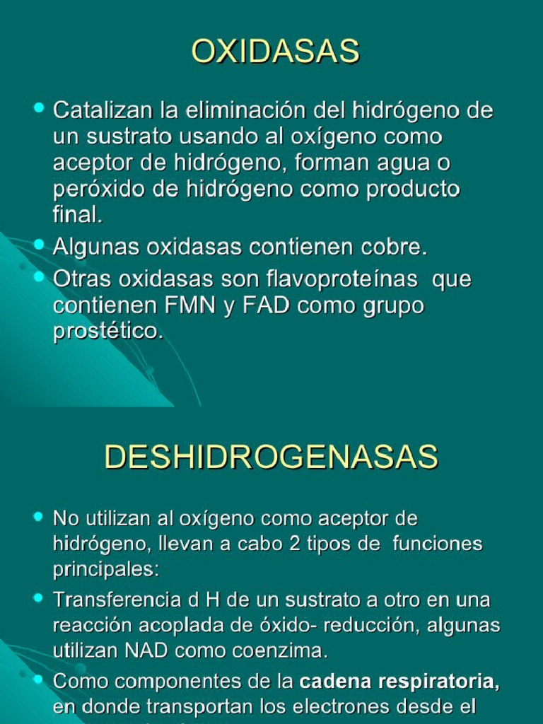 Bioquimica BASICA | PDF