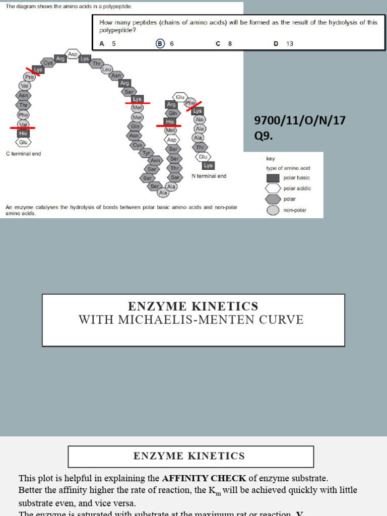 Enzyme Kinetics | PDF