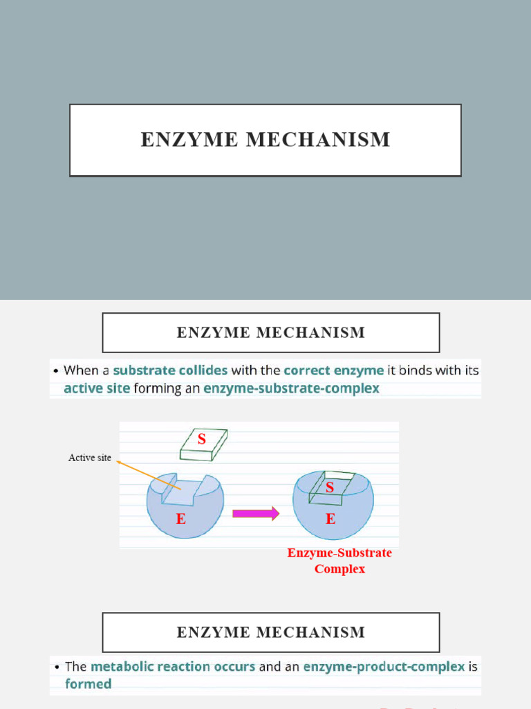 Enzyme Mechanism | PDF