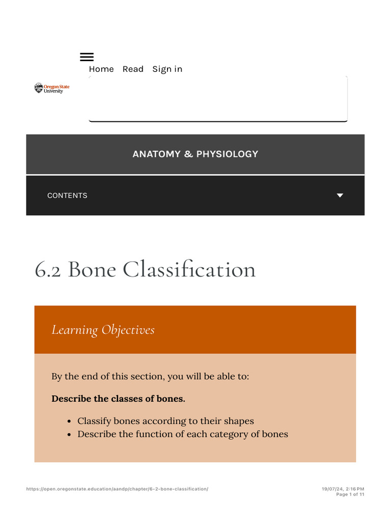 6.2 Bone Classification - Anatomy & Physiology | PDF | Musculoskeletal ...