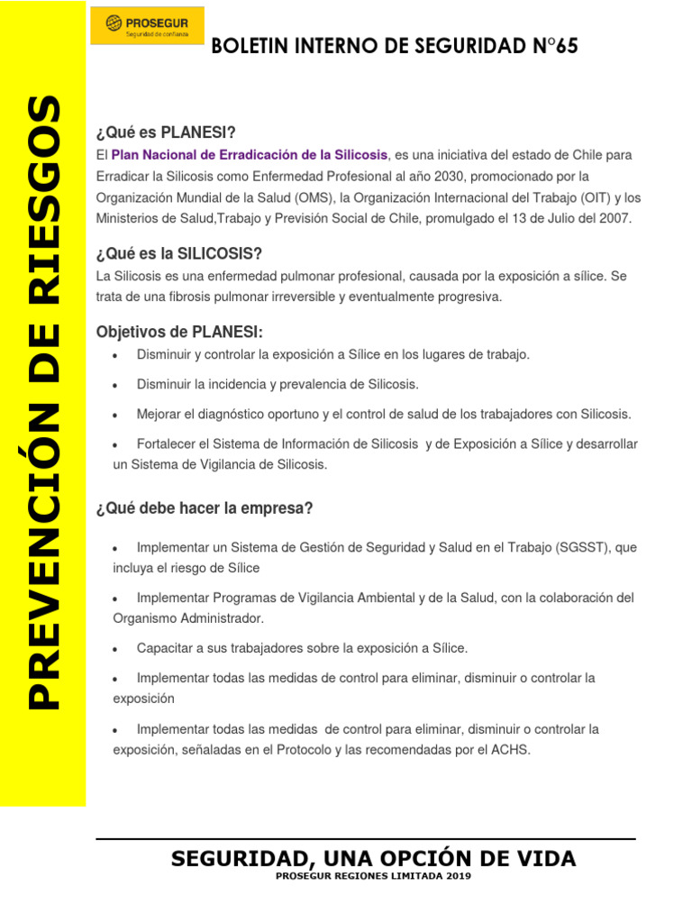 Boletín Interno PLANESI | PDF