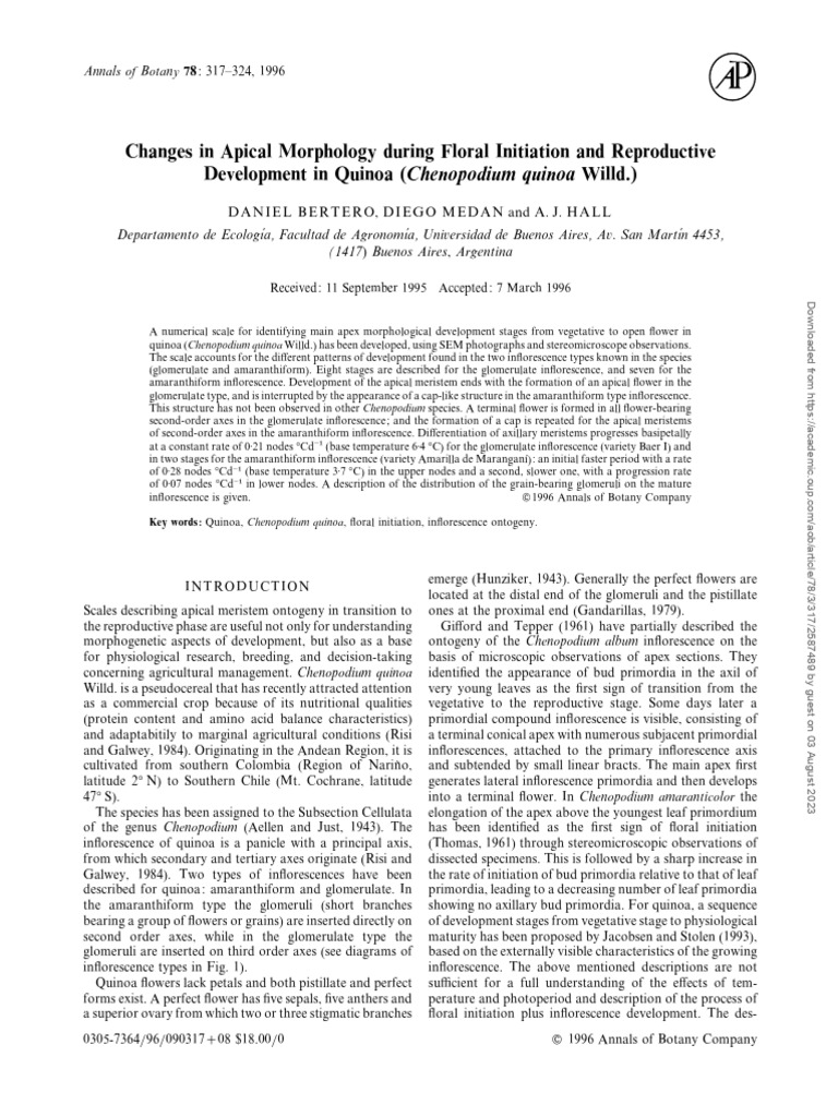 1996 BERTERO ET AL - Changes in Apical Morphology During Floral ...