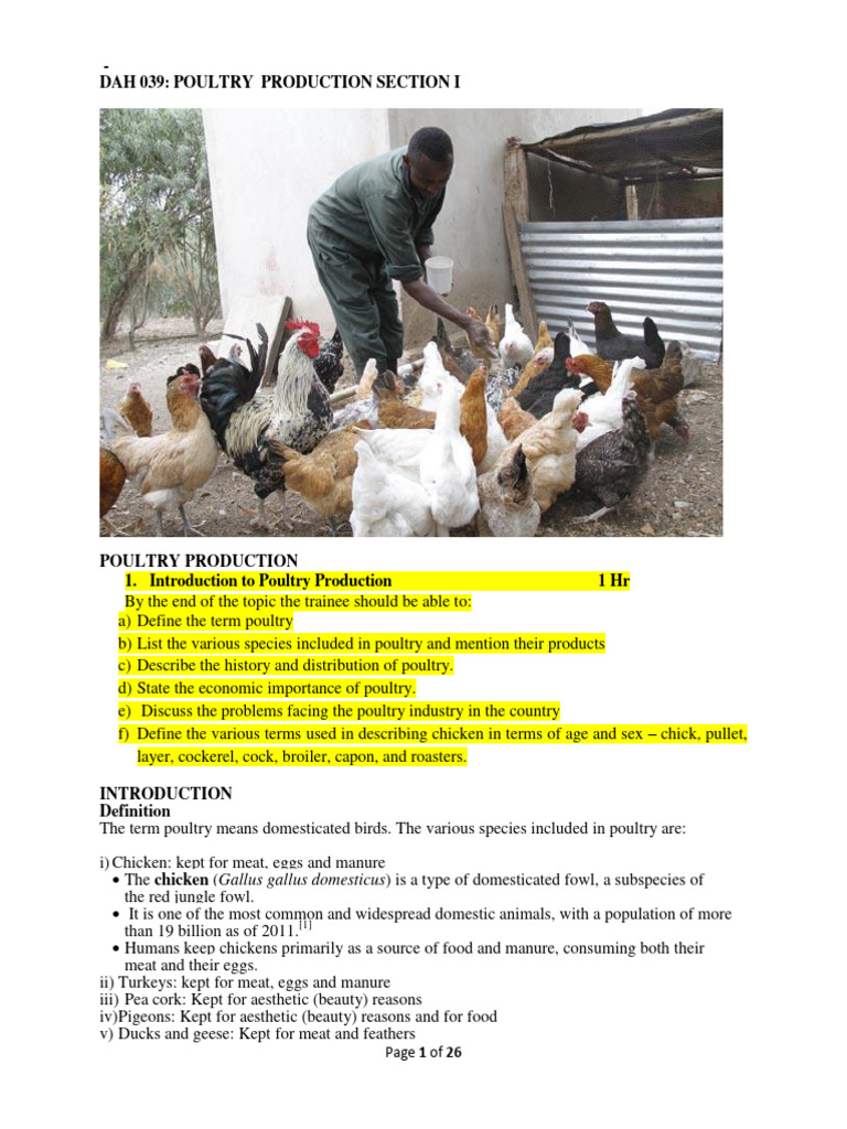 Poultry Production Overview and Insights | PDF | Chicken | Poultry