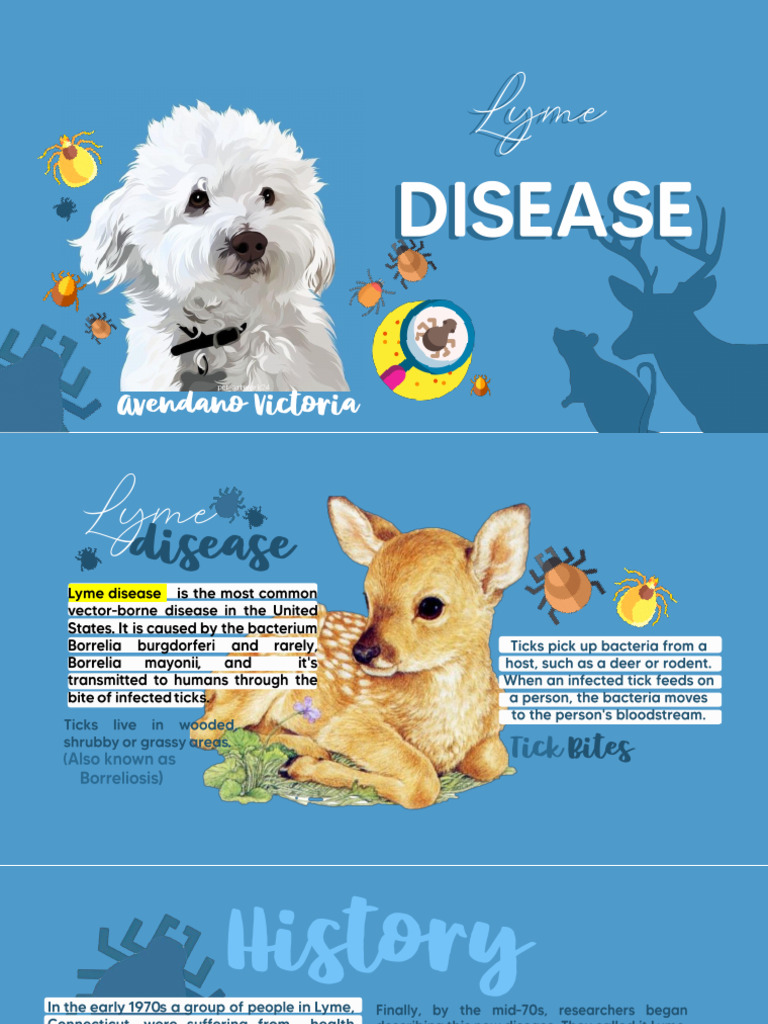 Ticks and Lyme Disease | PDF