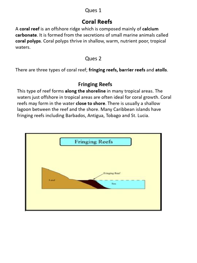 Coral Reefs | PDF | Coral Reef | Coral