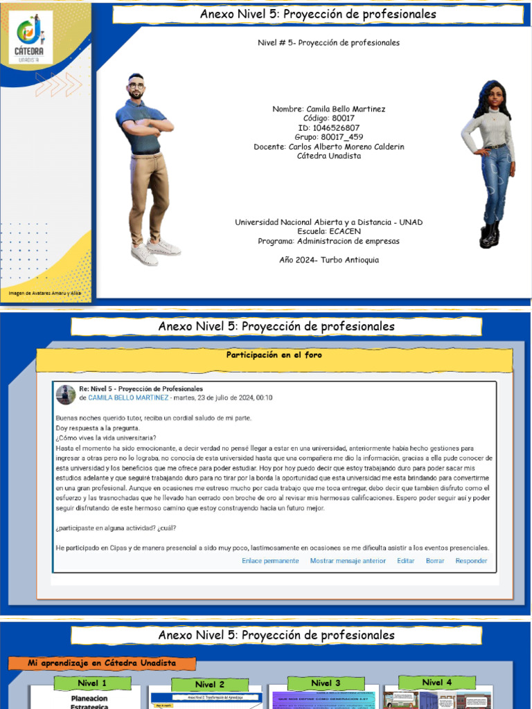 Nivel 5 Modelo de Aprendizaje | PDF | Aprendizaje | Videotelefonía