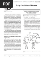 Royal Canin Body Condition Score Charts | PDF | Abdomen | Pelvis