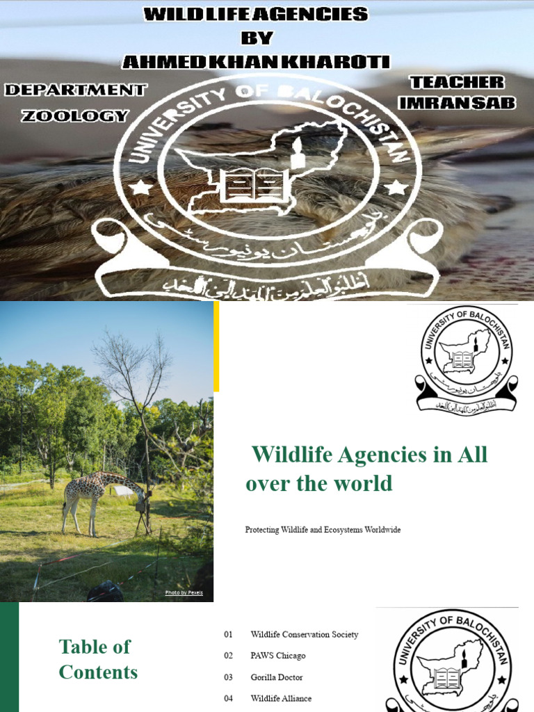 Ahmedkhan Kharoti Presentation | PDF | Conservation Biology ...