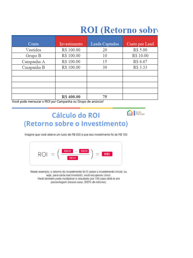 Cálculo do ROI em Campanhas Ads | PDF