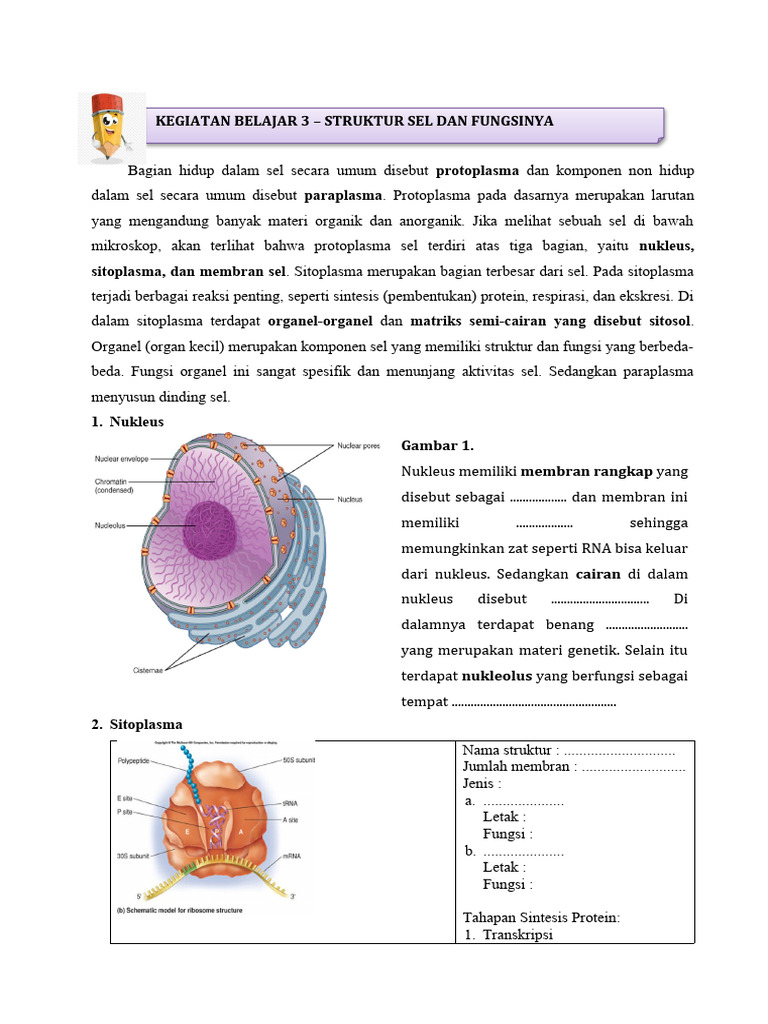 Struktur Dan Fungsi Sel | PDF