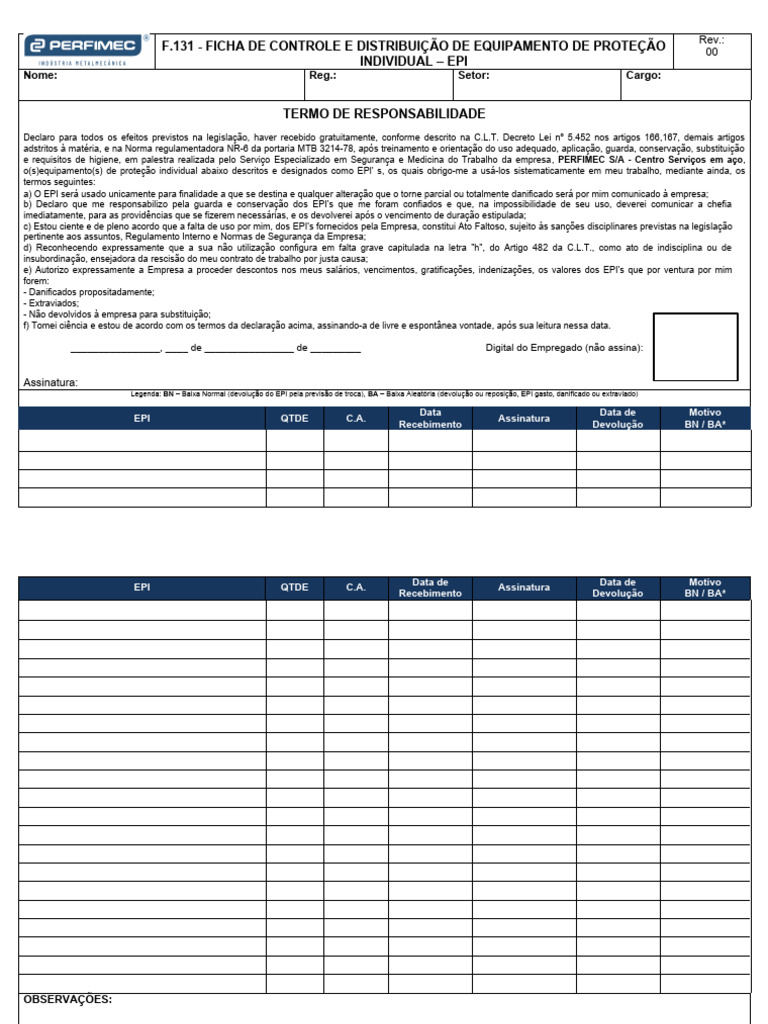 Controle de EPI: Termo de Responsabilidade | PDF