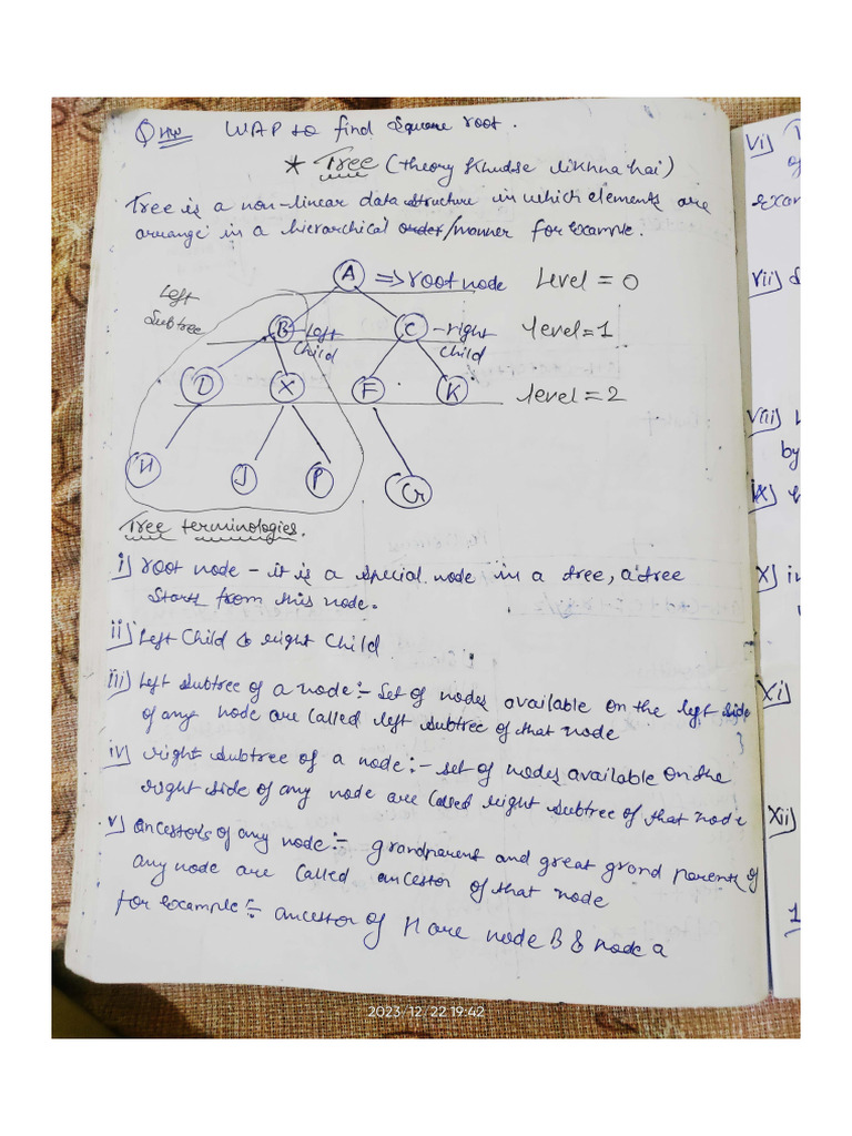 Tree Tree Graph | PDF