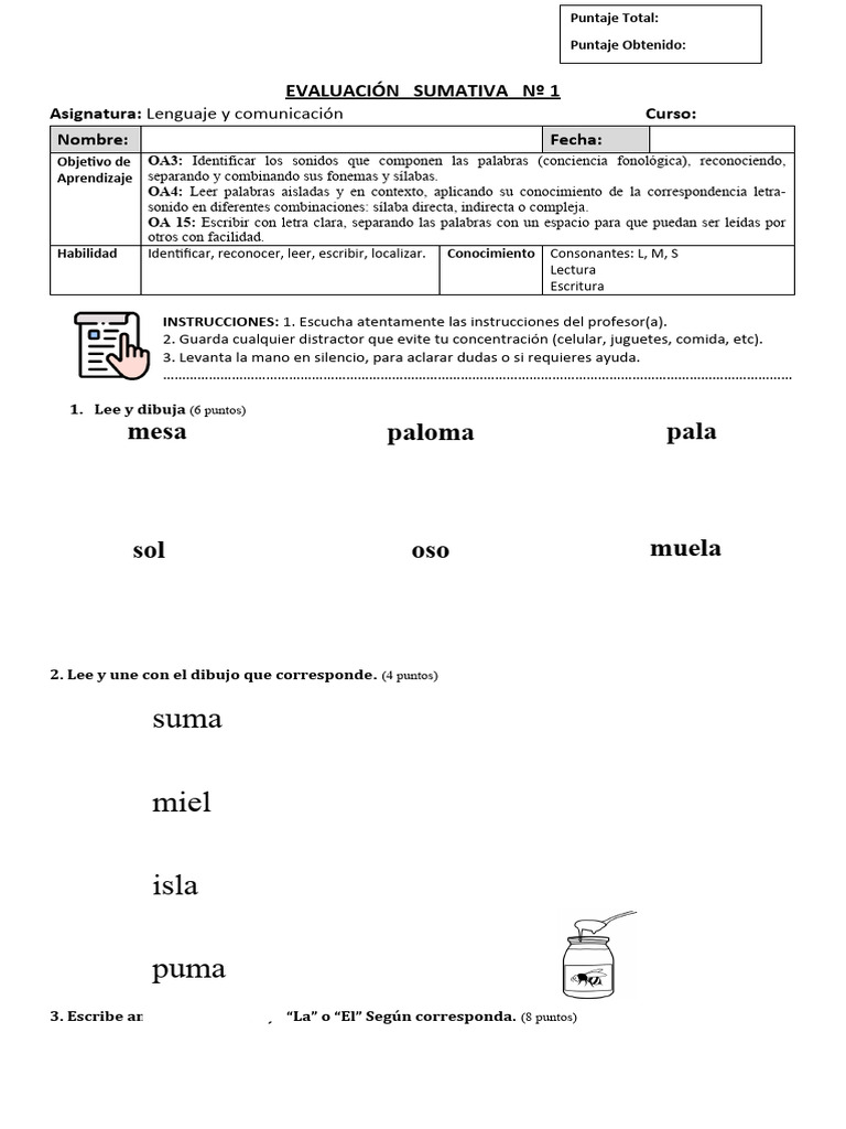 1 Evaluación Sumativa #1 | PDF | Escritura | Comunicación humana