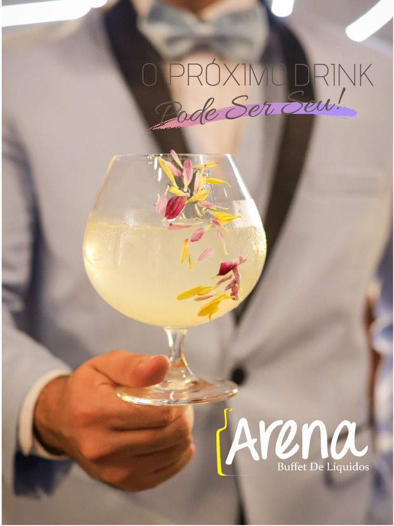 Orçamento Arena Buffet de Liquidos - Mariana Amorim 07-03-2025 | PDF ...