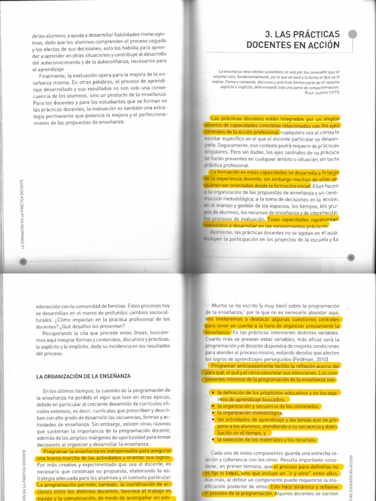 Davini La Formacion en La Practica Docente Cap III | PDF