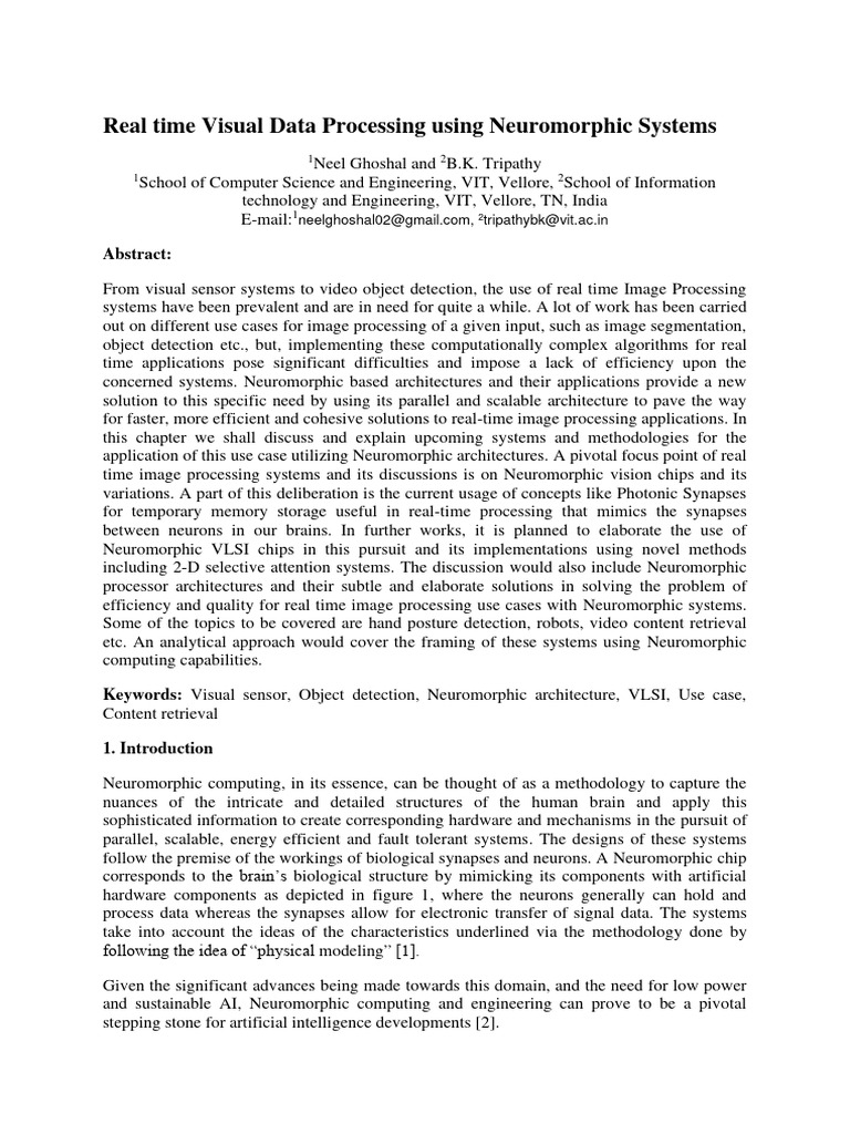 Real Time Visual Data Processing Using Neuromorphic Systems | PDF ... Real Time Visual Data Processing Using Neuromorphic Systems | PDF ...