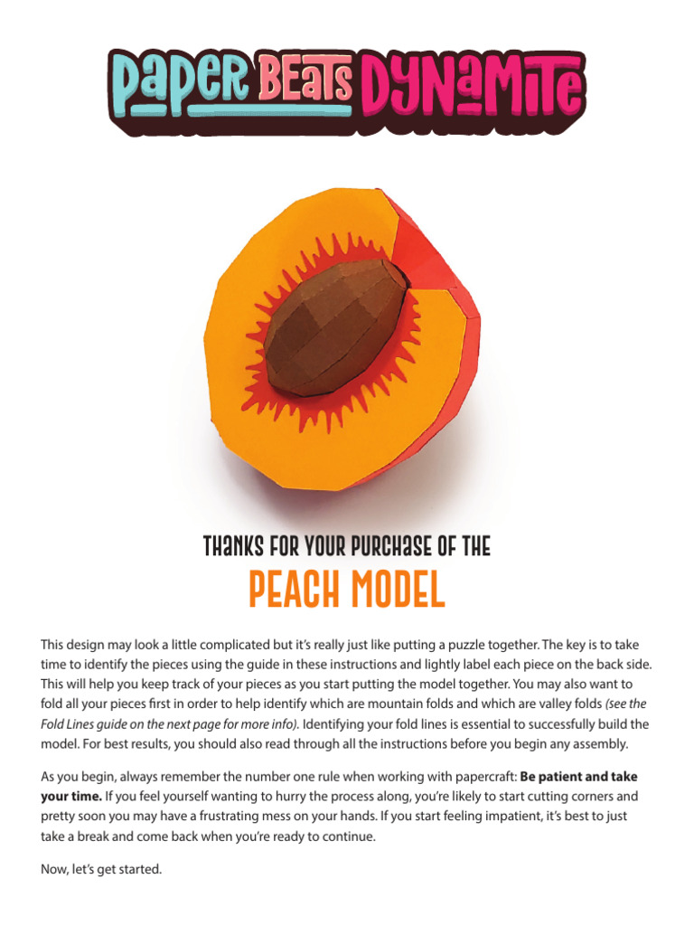 Instructions_Peach | PDF