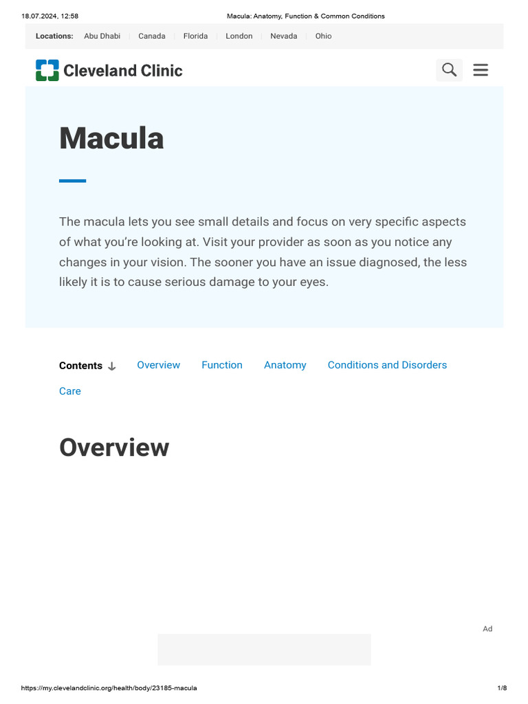 Macula: Key to Central Vision | PDF | Retina | Eye