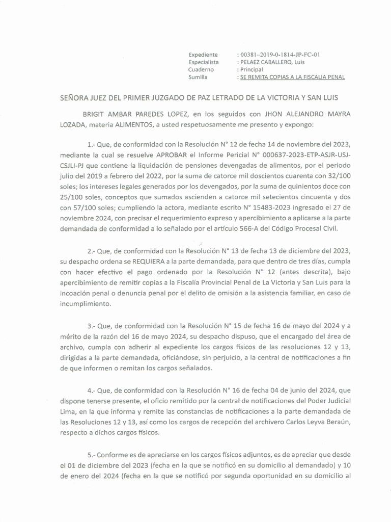 Remita Copias A La FPPL | PDF