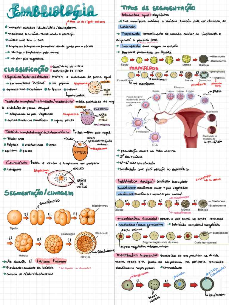 Notes 240716 211808 | PDF