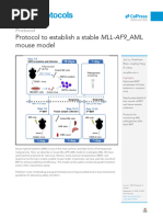 Lipofectamine MessengerMAX Man | PDF | Messenger Rna | Transfection