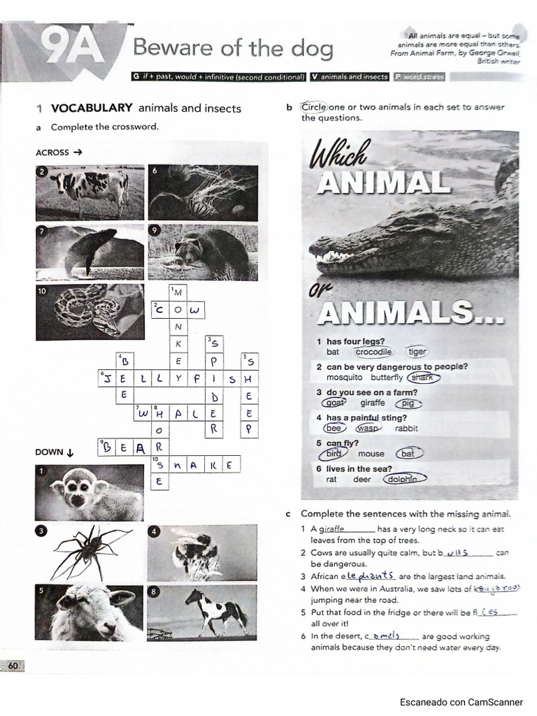 Workbook Unit 9 - 10 | PDF