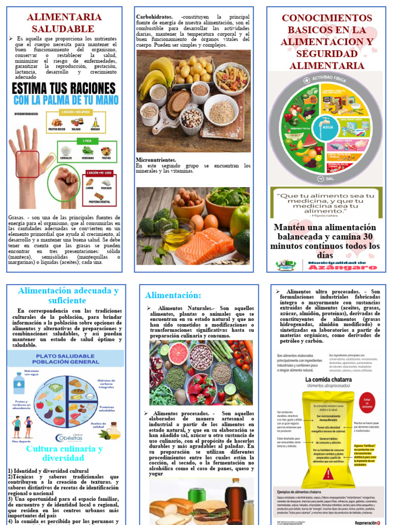 Modulo Iii. Conocimientos Basicos en La Alimentacion y Seguridad Alimentaria. | PDF | Alimentos