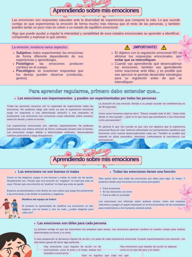 Regulación y comprensión emocional | PDF | Las emociones | Ira