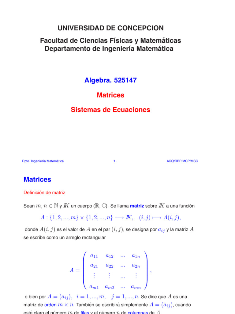 Cap1 Matrices Version Editada | PDF | Matriz (Matemáticas) | Determinante