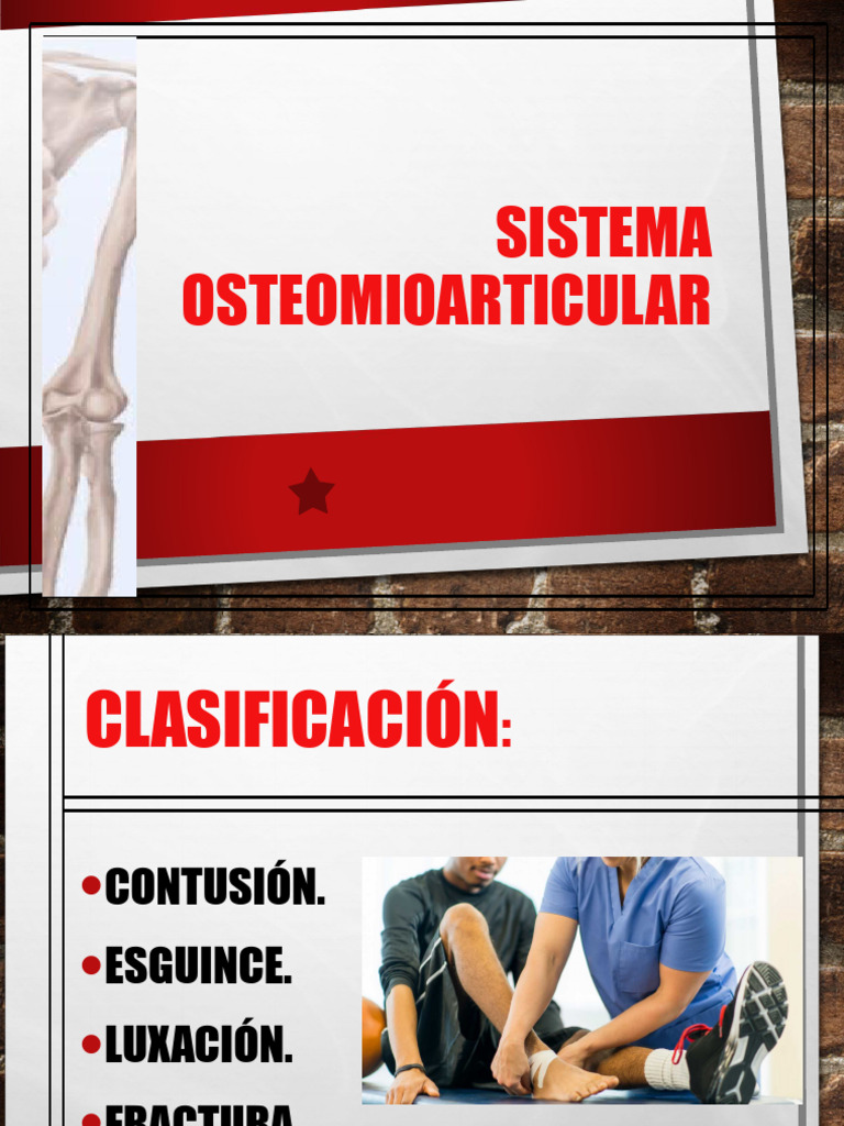 Lesiones Traumáticas Del Sistema Osteomioarticular | PDF ...