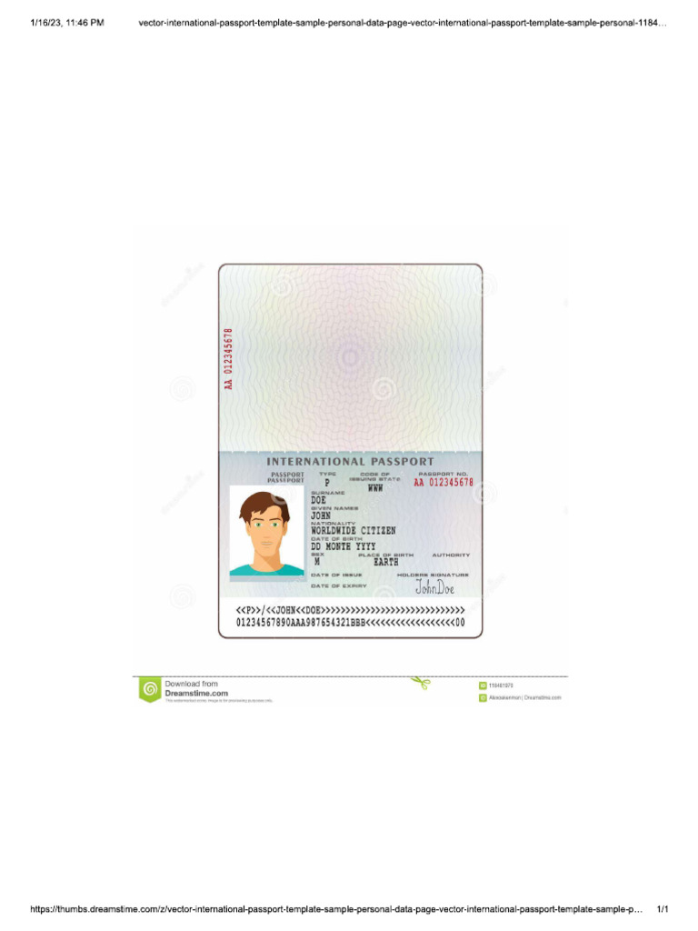 Dummy Passport | PDF