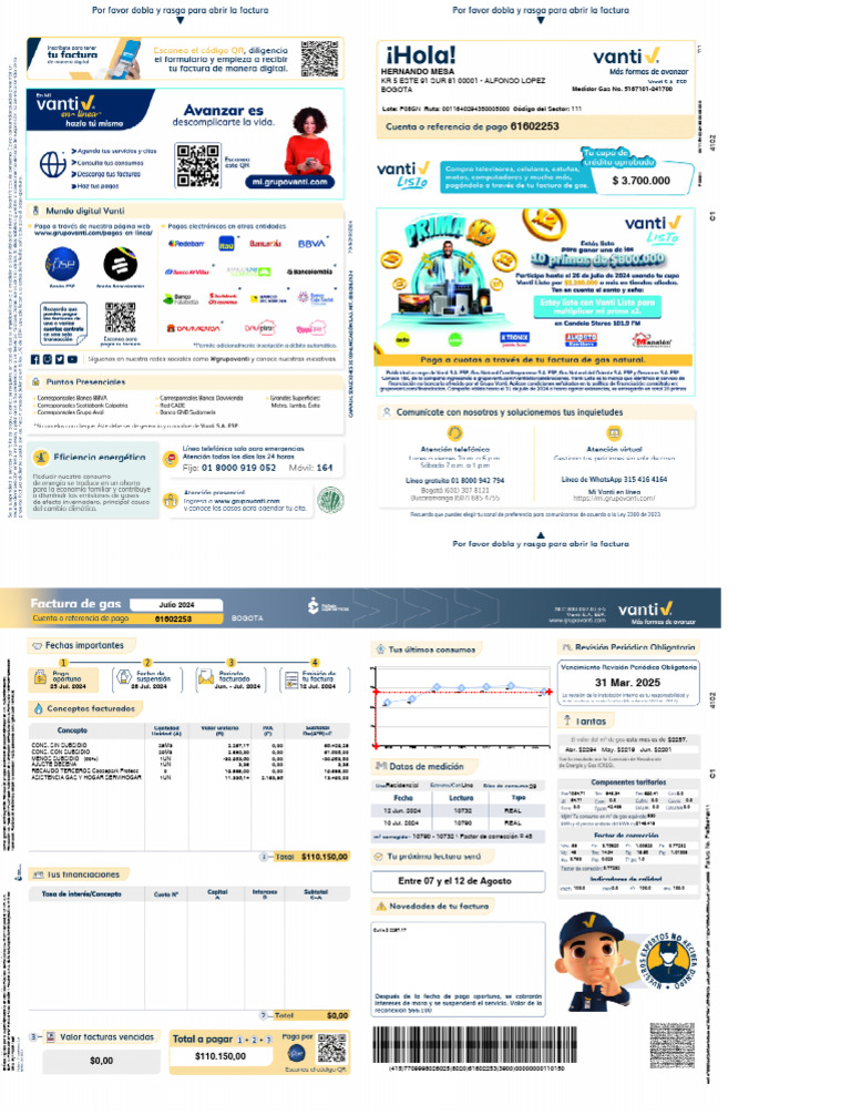 Factura 61602253 | PDF