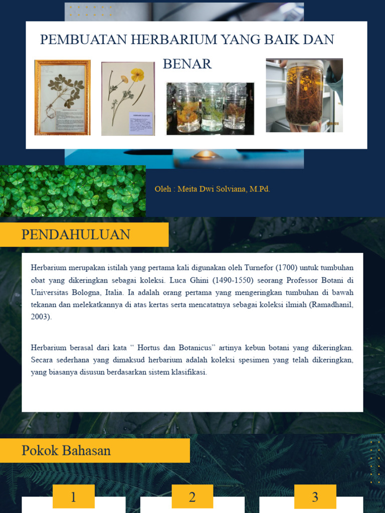 Penglab - Herbarium | PDF