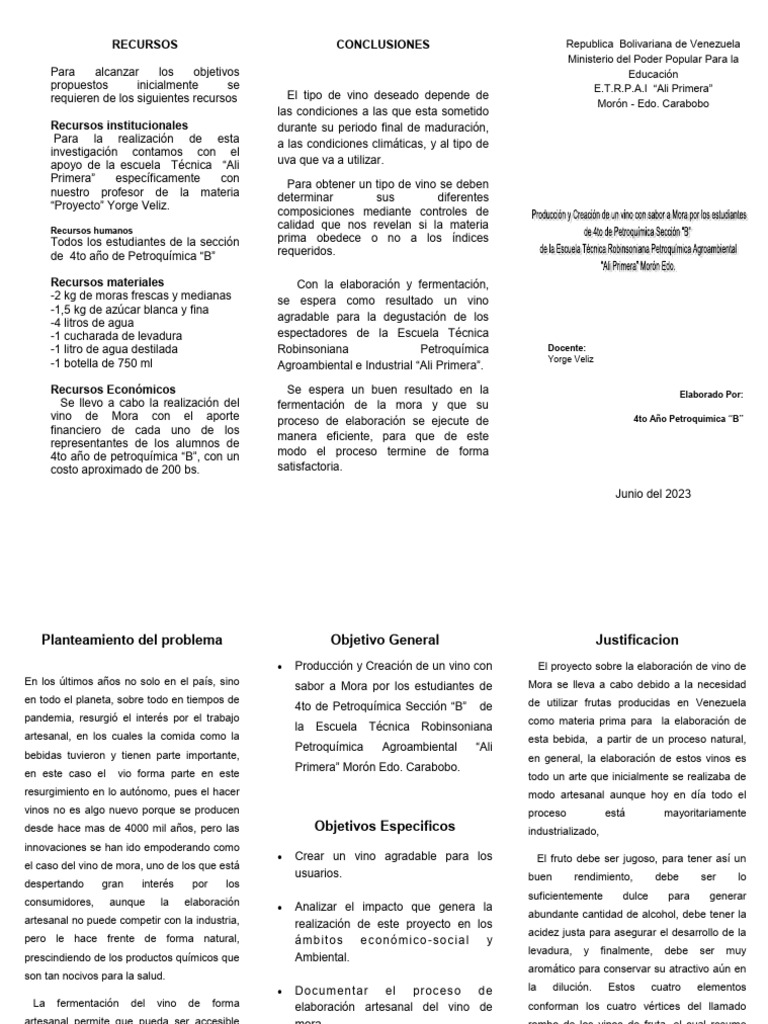 Modelo para Tripticos | PDF | Vino