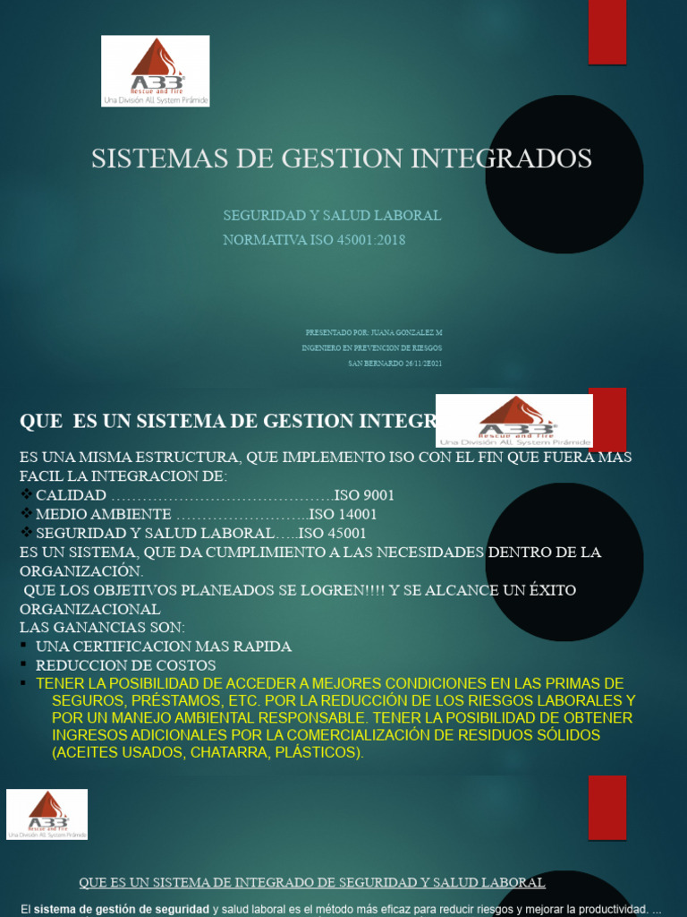 Sistemas de Gestion Integrados | PDF | Business