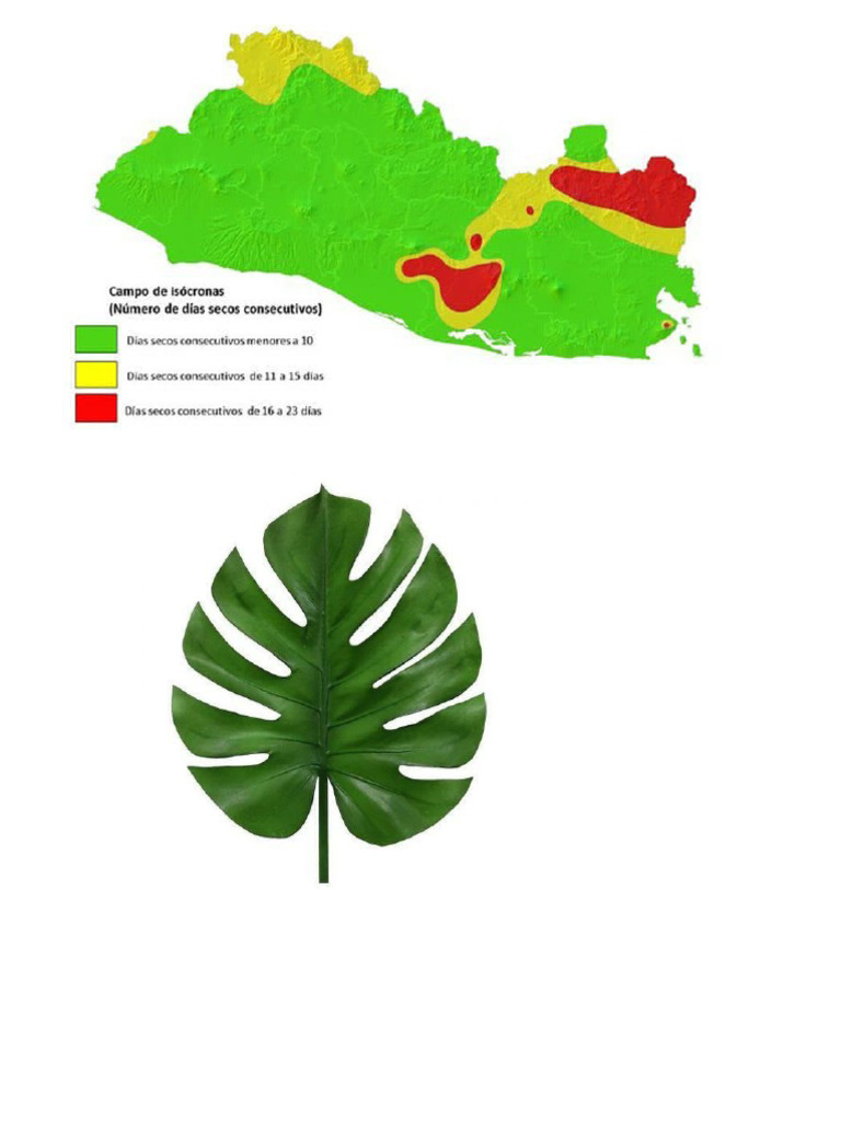 mapas Sociales | PDF