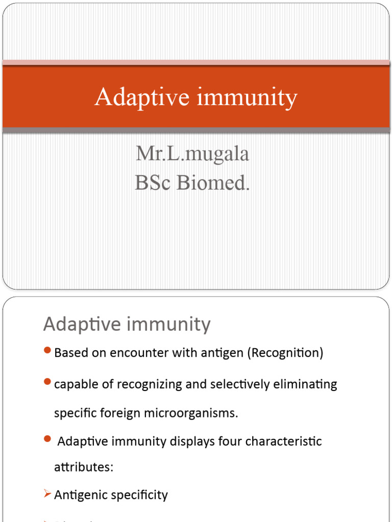 Adaptive Immunity 2022 Notes | PDF | T Cell | B Cell