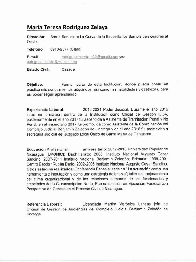 CV MAria Teresa | PDF