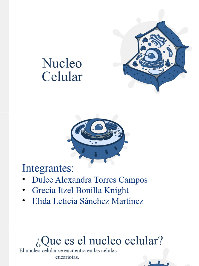Nucleo Celular | PDF