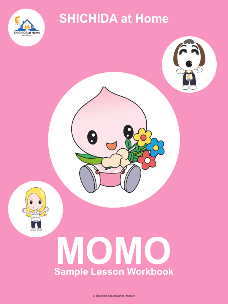 Momo Sample Workbook | PDF
