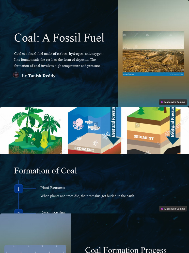 Coal A Fossil Fuel | PDF